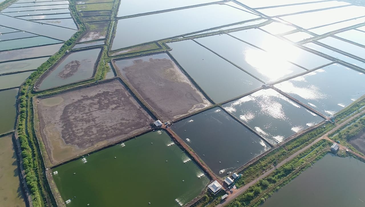 GRAIN | The pushback against Aquaculture Inc